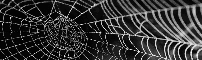 Jay, Trying to Remember...